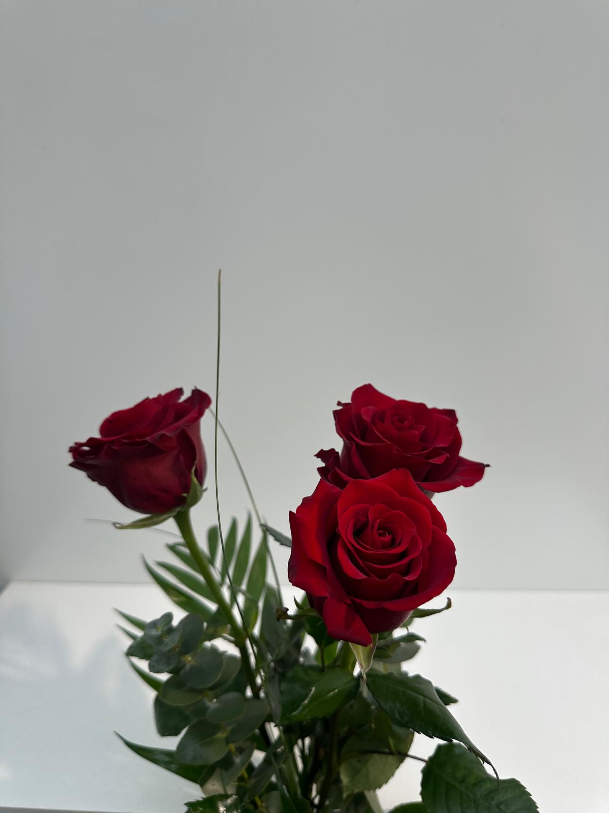 Bouquet de 3 Roses Rouge – Fleurs Agnès